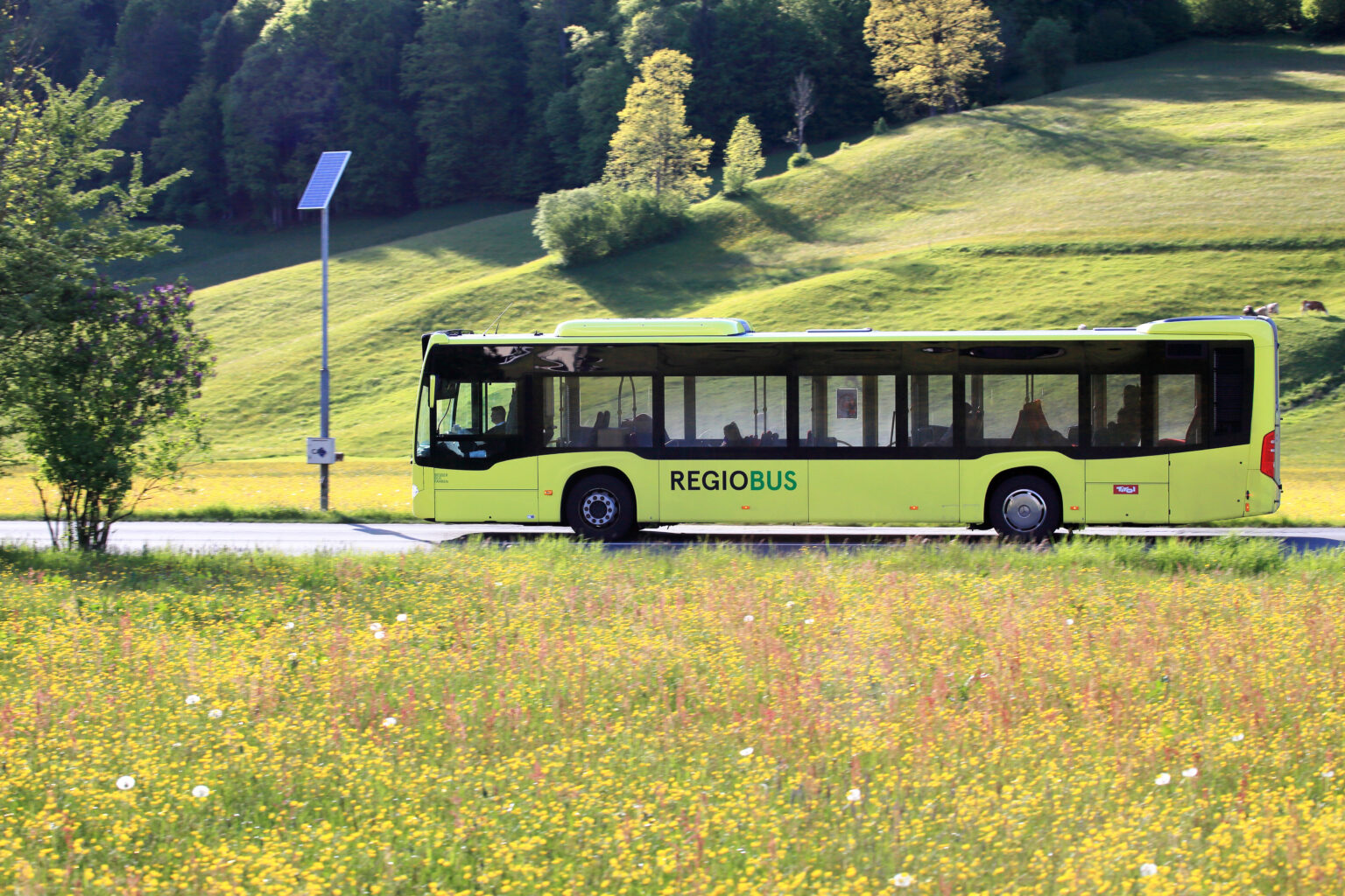 Kuusk – mit Wissen entwickeln